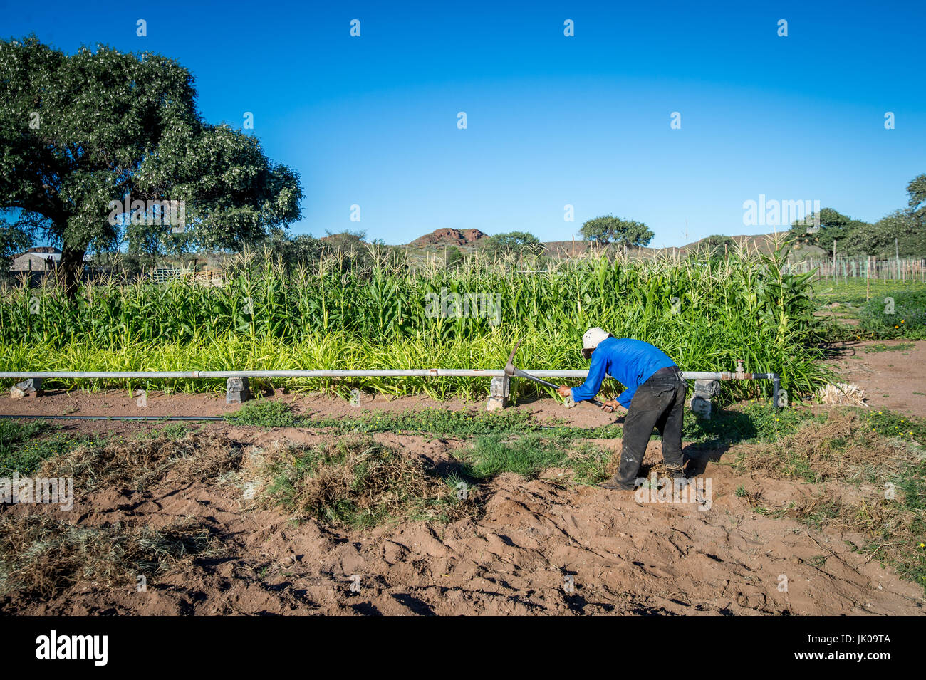 Working in namibia hi-res stock photography and images - Alamy