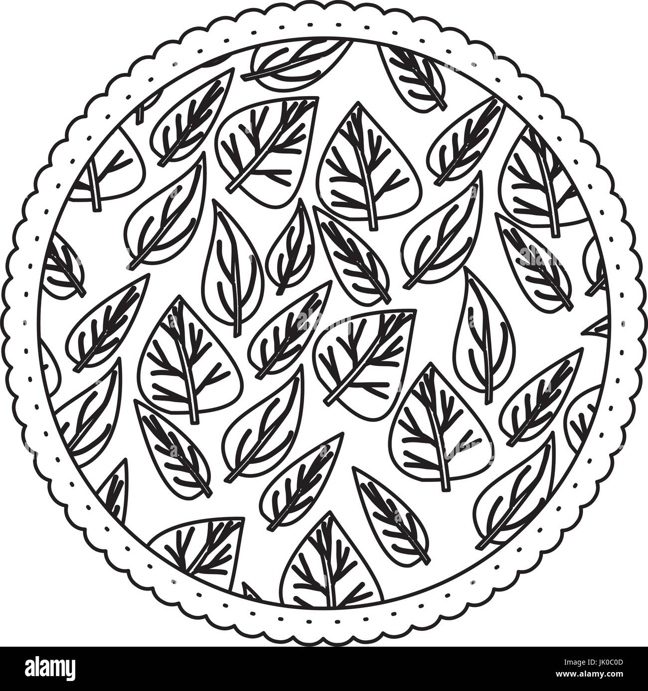 Ovoid leaves Stock Vector Images - Alamy