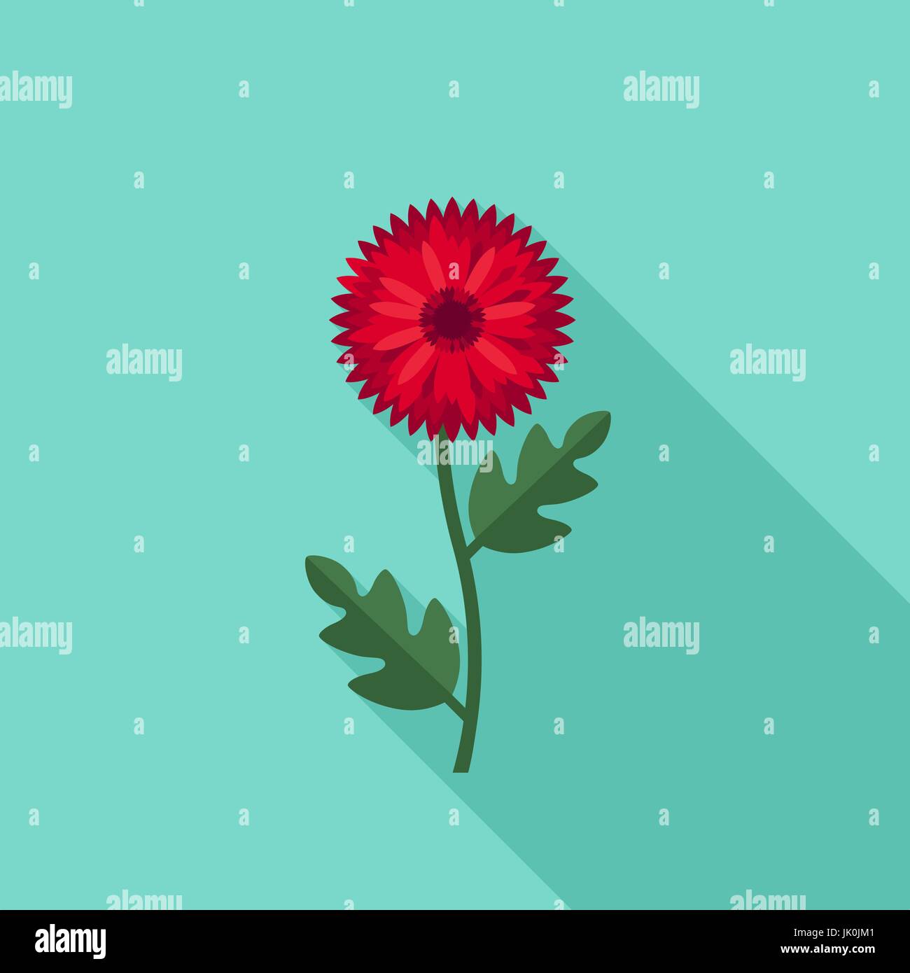 Aster flower illustration vector Stock Vector Images - Alamy