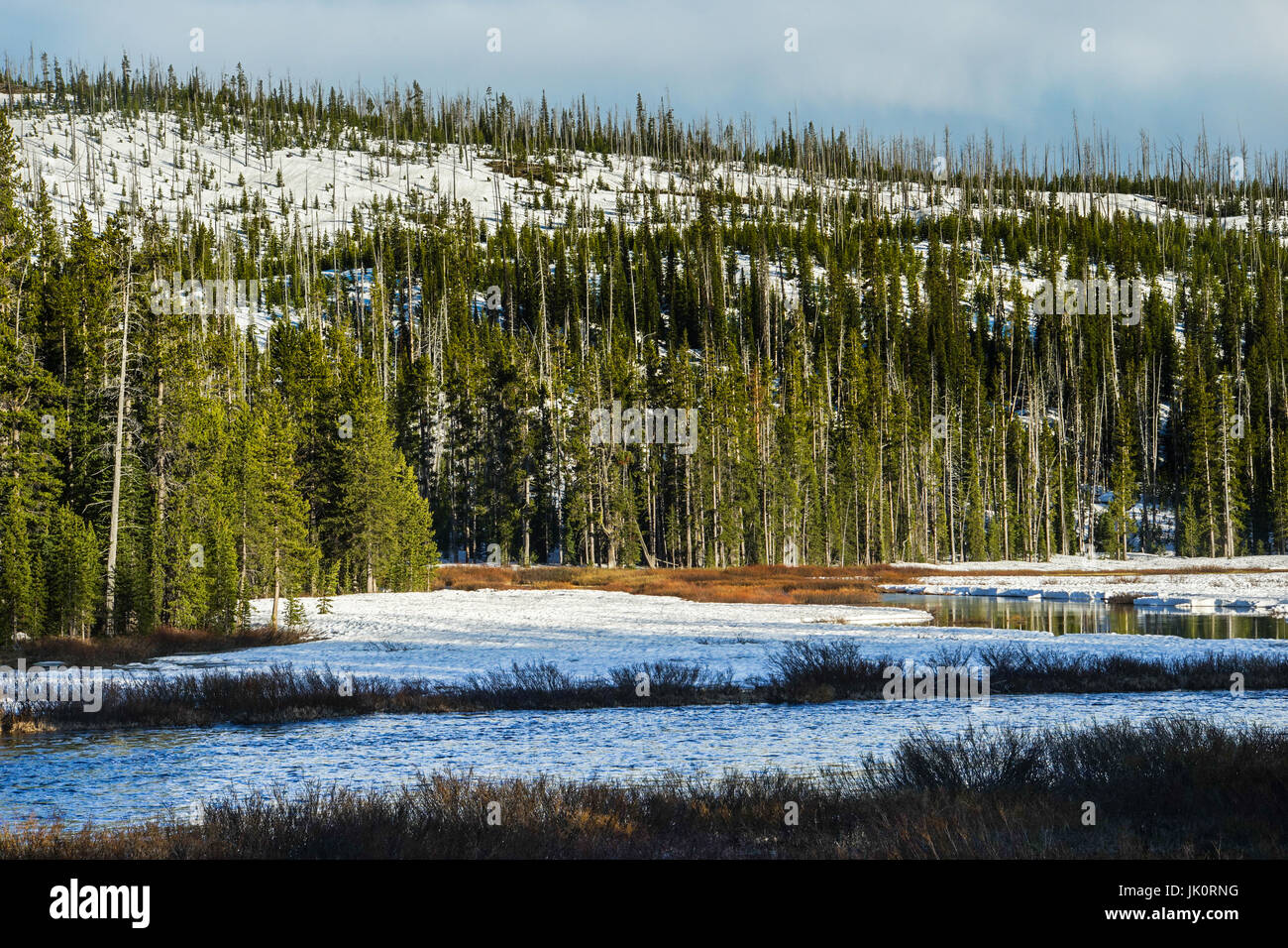 Forrest and lake Stock Photo - Alamy