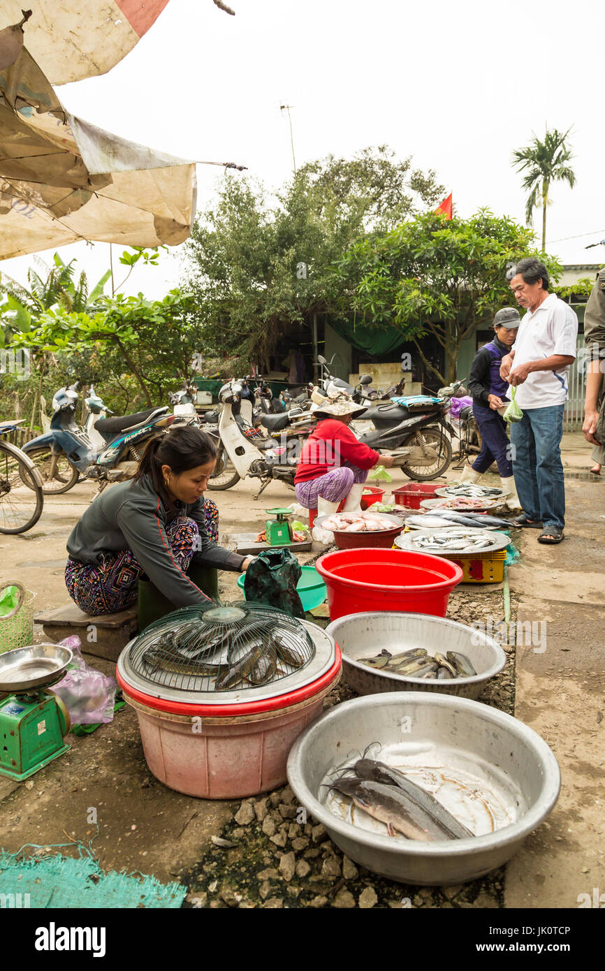 Freshwater fish of south east asia hi-res stock photography and images ...