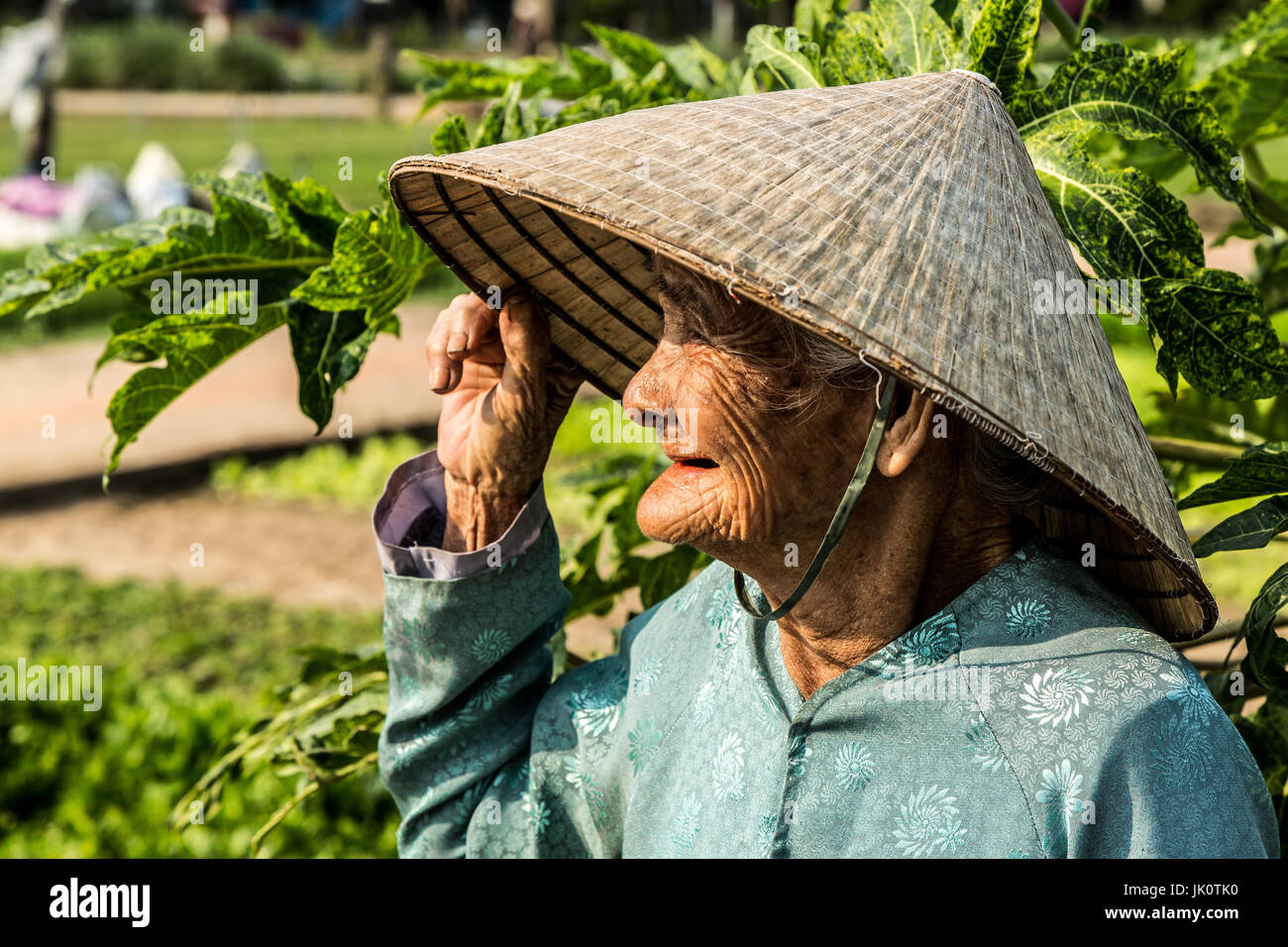 Mature vietnamese hi-res stock photography and images - Alamy
