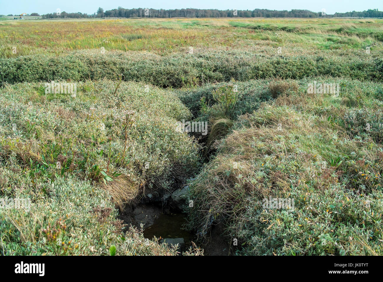 of outside dyke situated and dependent on tide afloat salt meadows ...