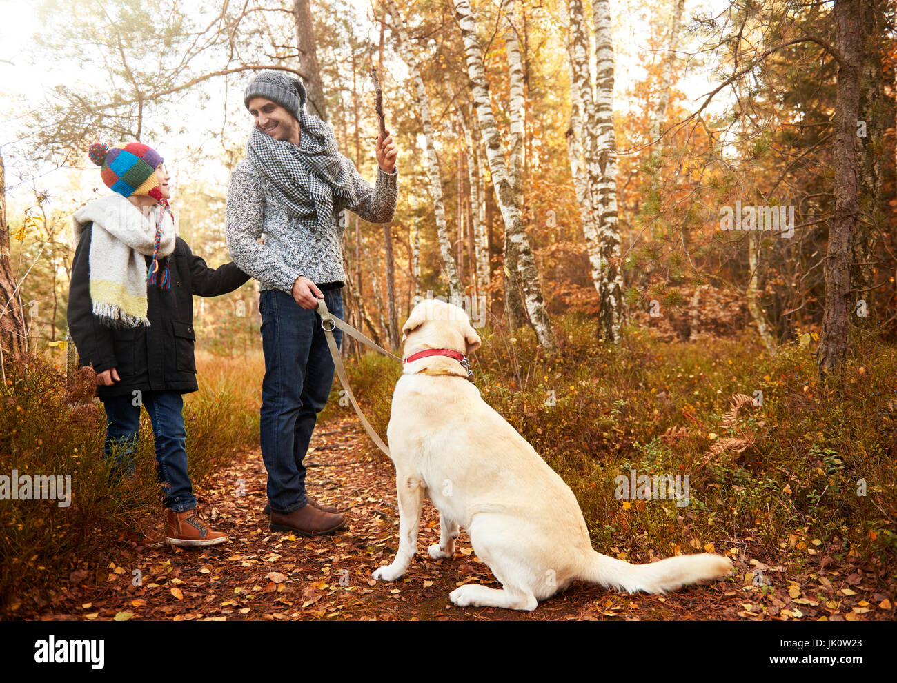 Father and son training with dog Stock Photo - Alamy