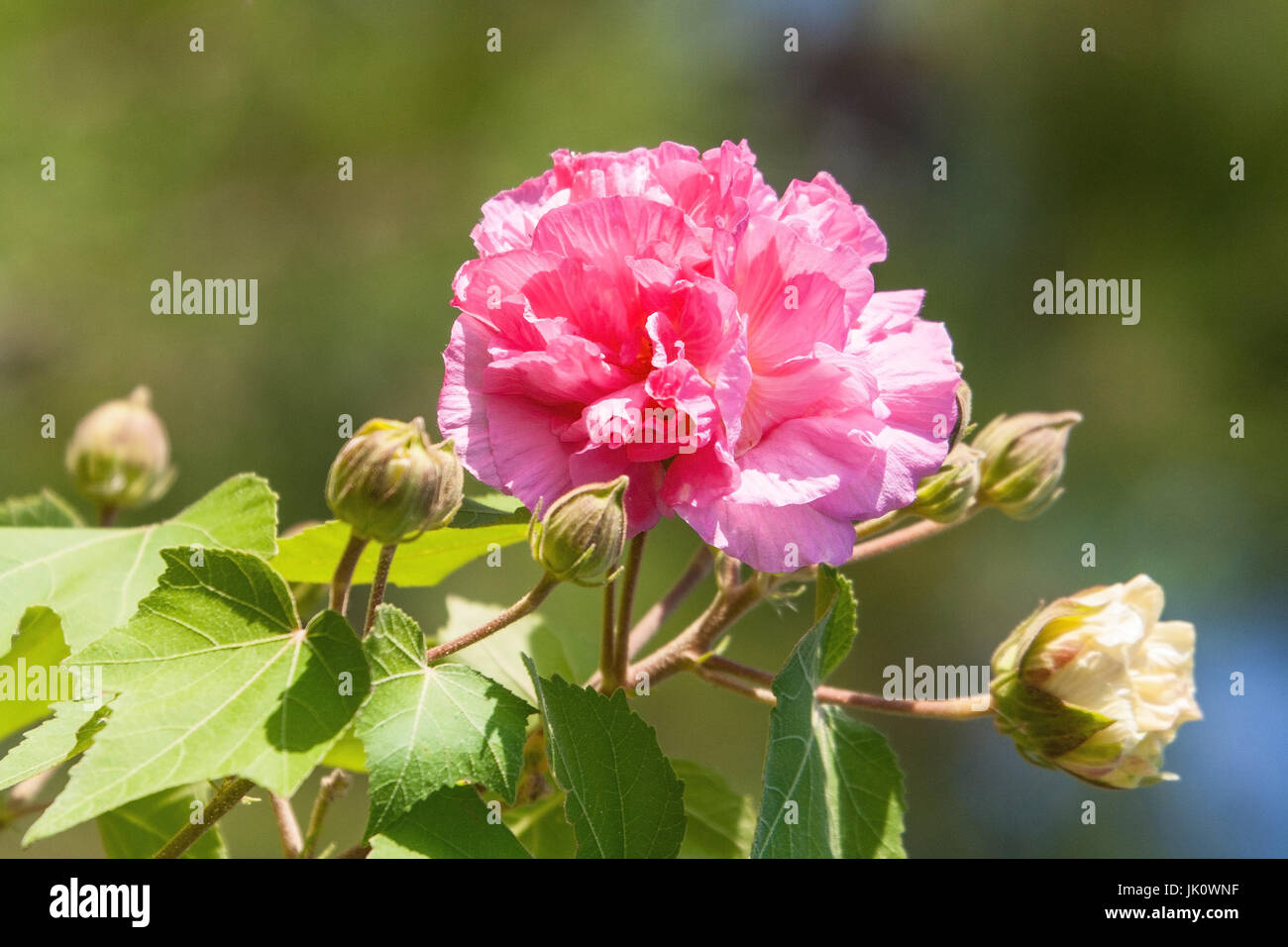 Gulu china hi-res stock photography and images - Alamy