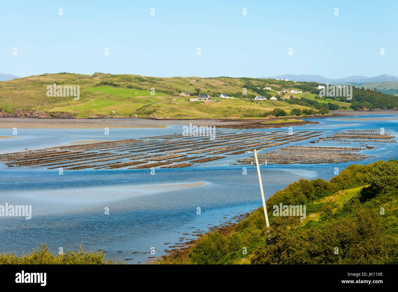 Oyster bay seafood hi-res stock photography and images - Alamy