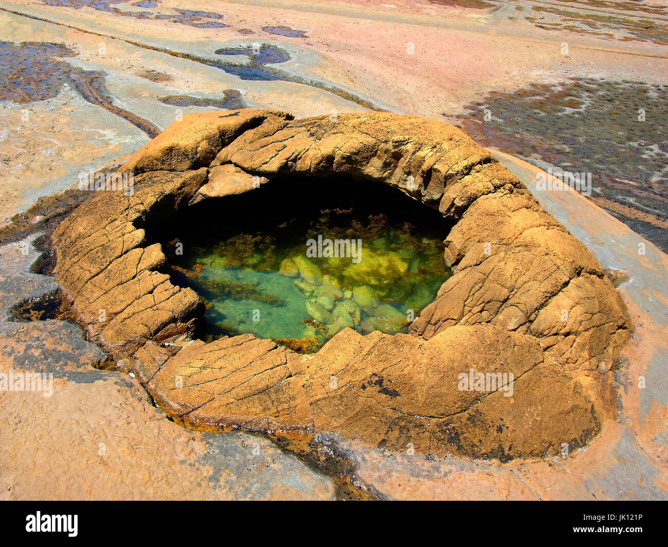 New Zealand, Shag Point , Neuseeland - Shag Point Stock Photo - Alamy