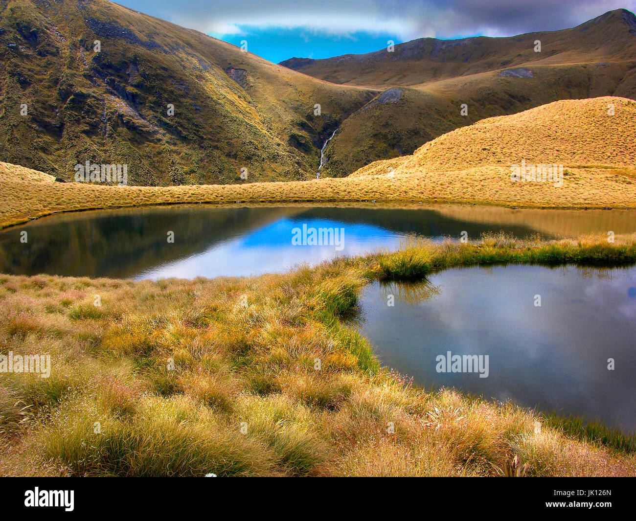 New Zealand, fjord country Nationwide park, Neuseeland - Fjordland ...