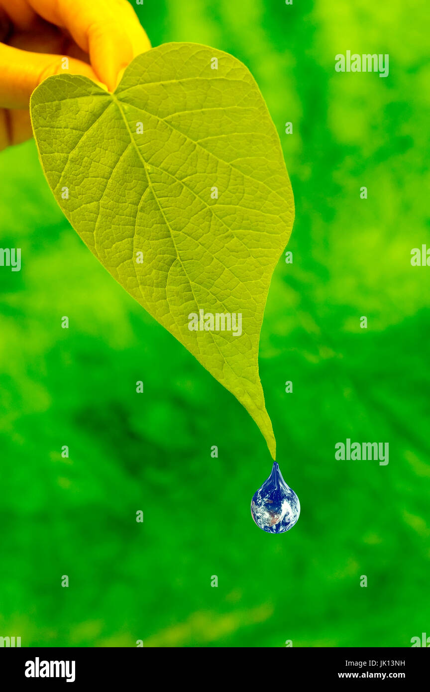 world as a drop falling from a leaf, environment conservation concept ...
