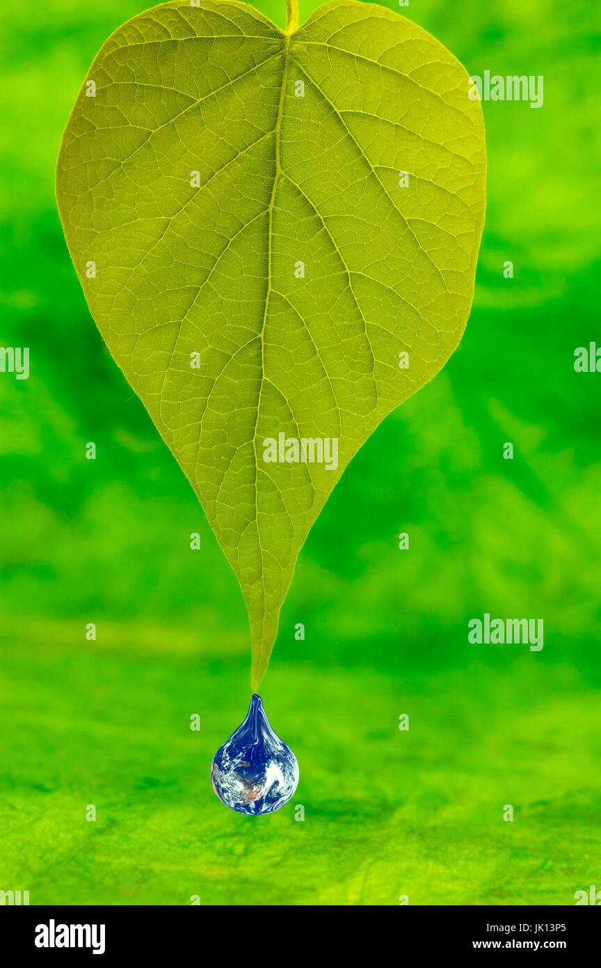 world as a drop falling from a leaf, environment conservation concept ...