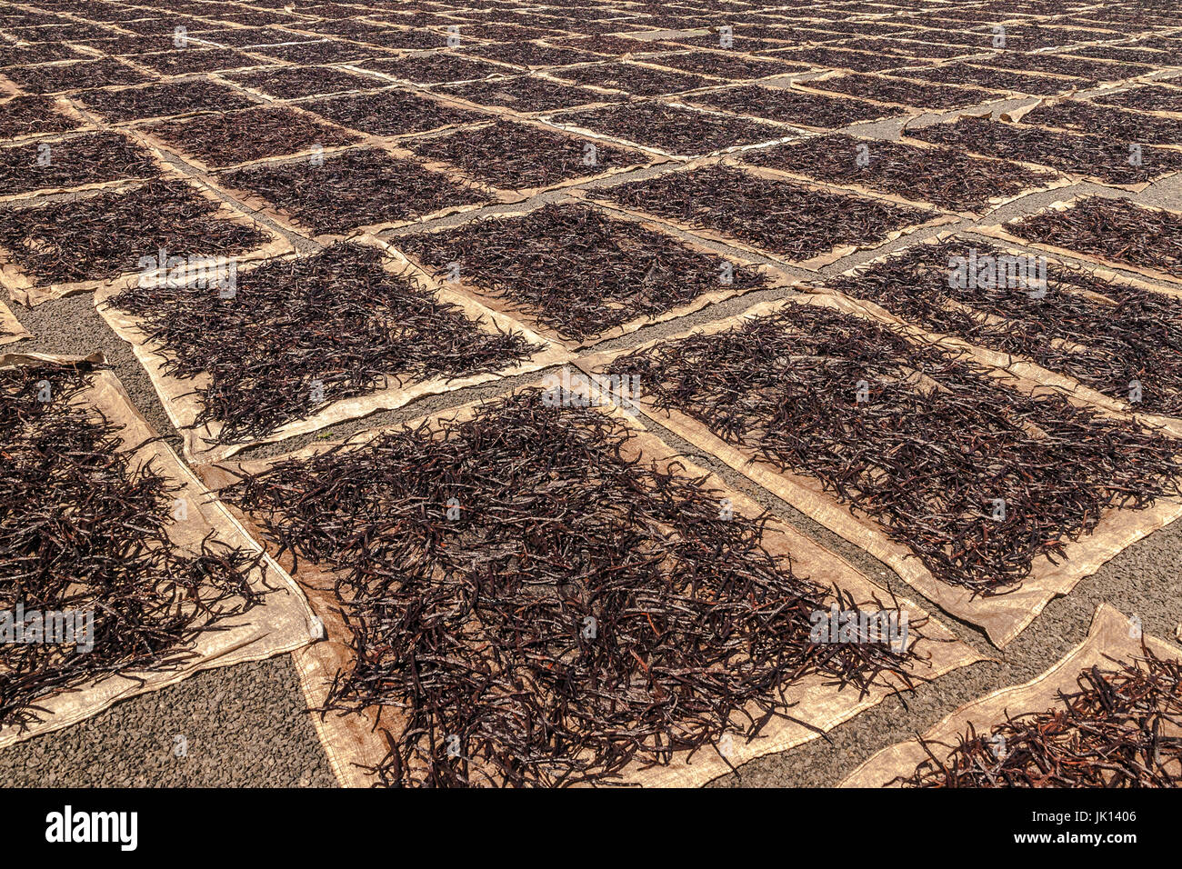 Vanilla plantation madagascar hi-res stock photography and images - Alamy