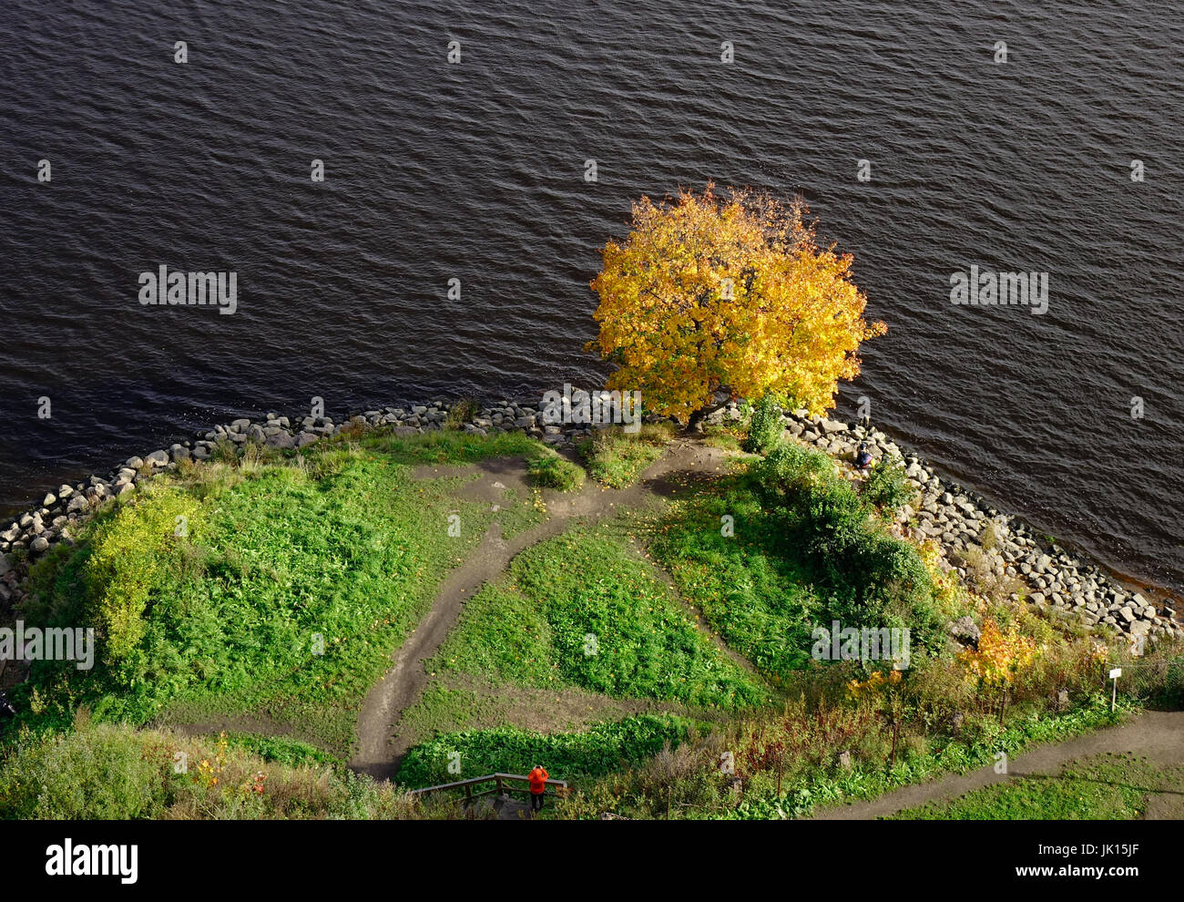 Vyborg lake forest hi-res stock photography and images - Alamy