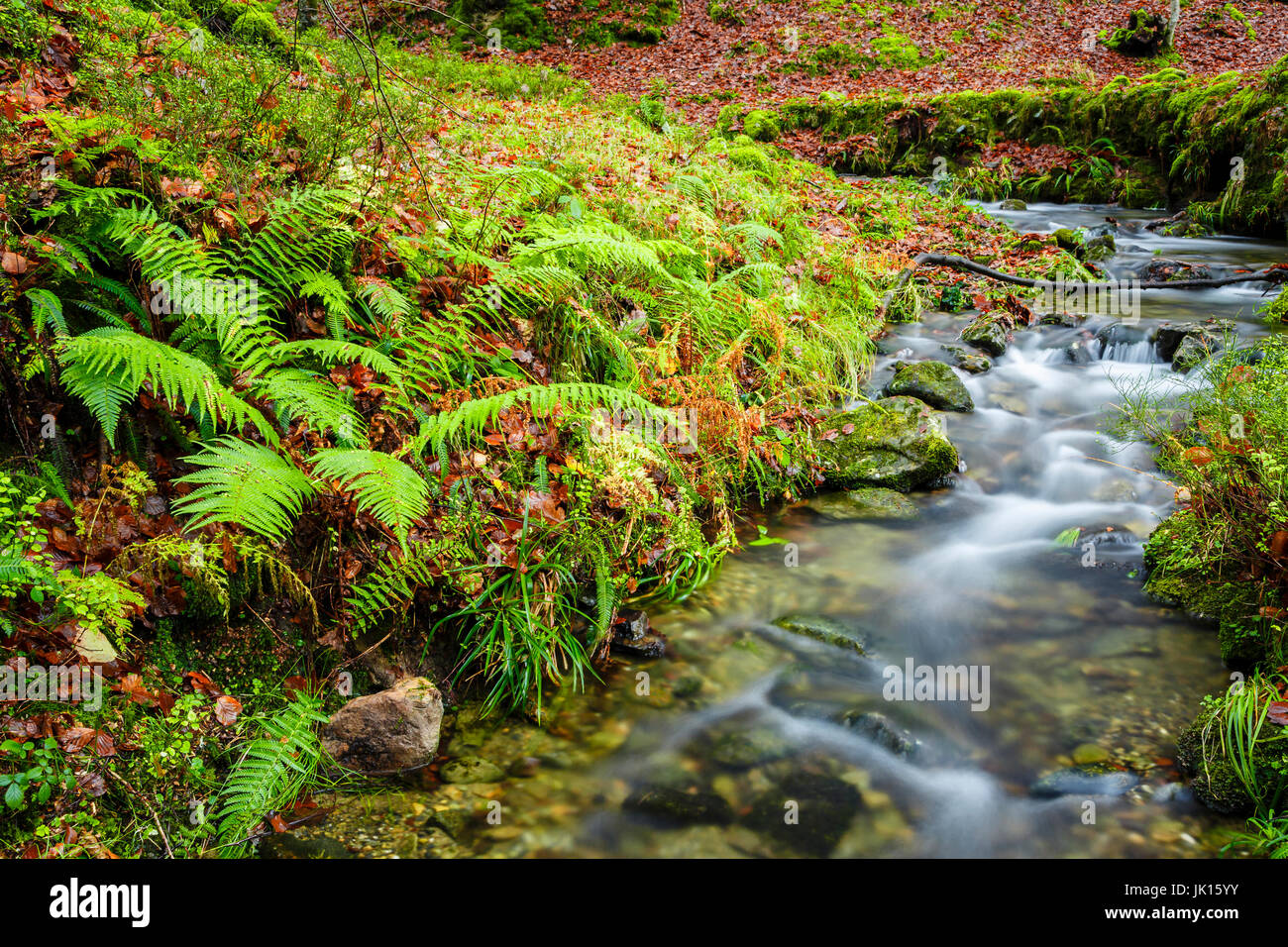 Freshwater rivulet hi-res stock photography and images - Alamy