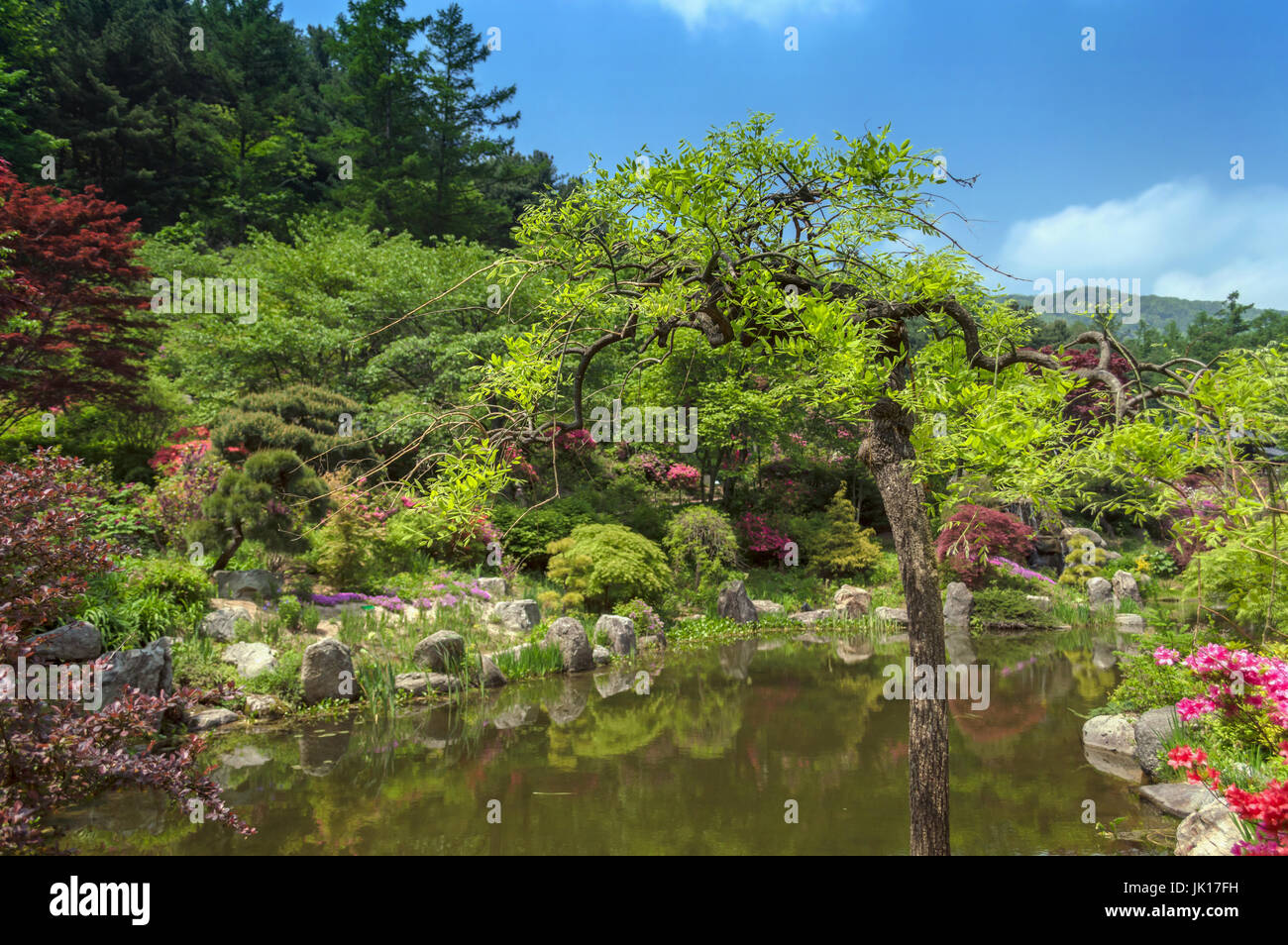 traditional korean garden with pond Stock Photo - Alamy