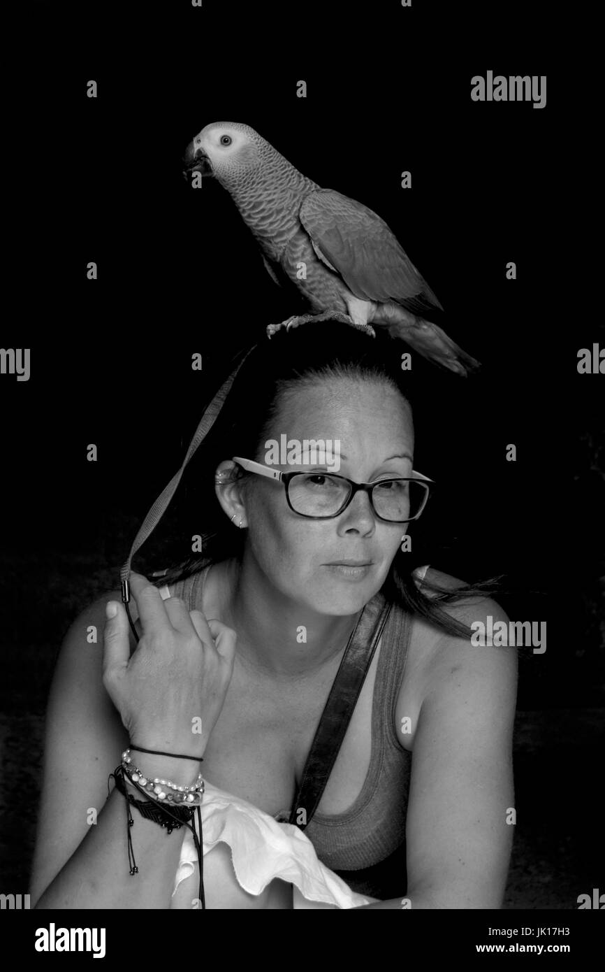 Zako parrot hi-res stock photography and images - Alamy