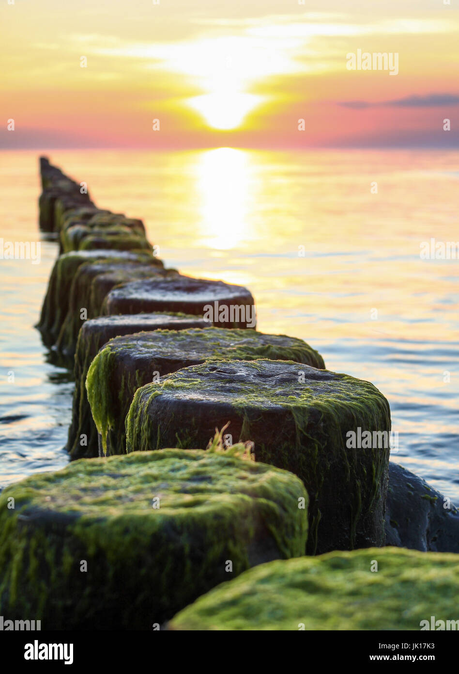 Wooden spur dykes in coastal sunset. Groynes and sea water Stock Photo ...