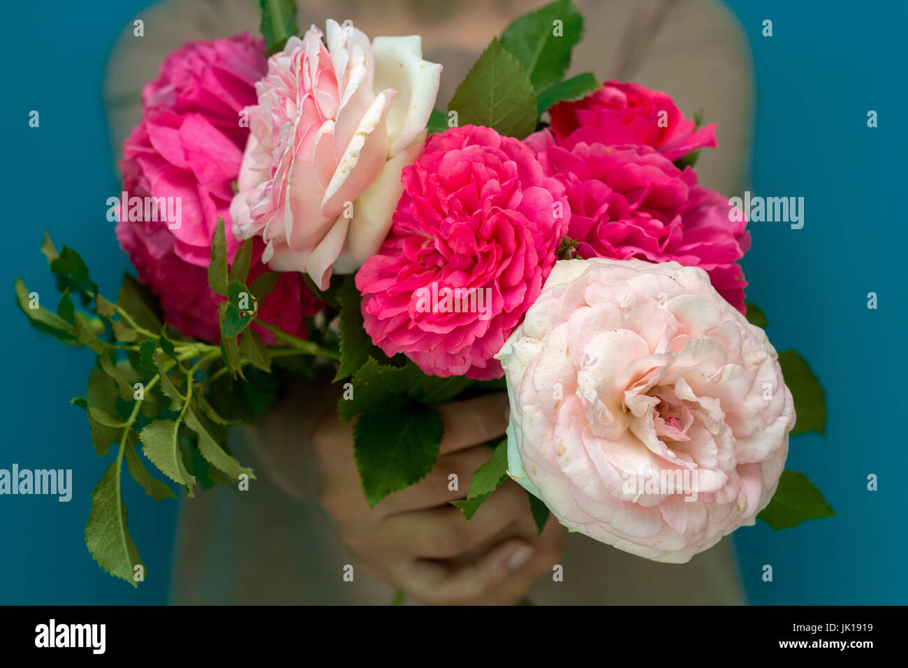 girl holding a bouquet of beautiful pink fluffy roses Stock Photo - Alamy