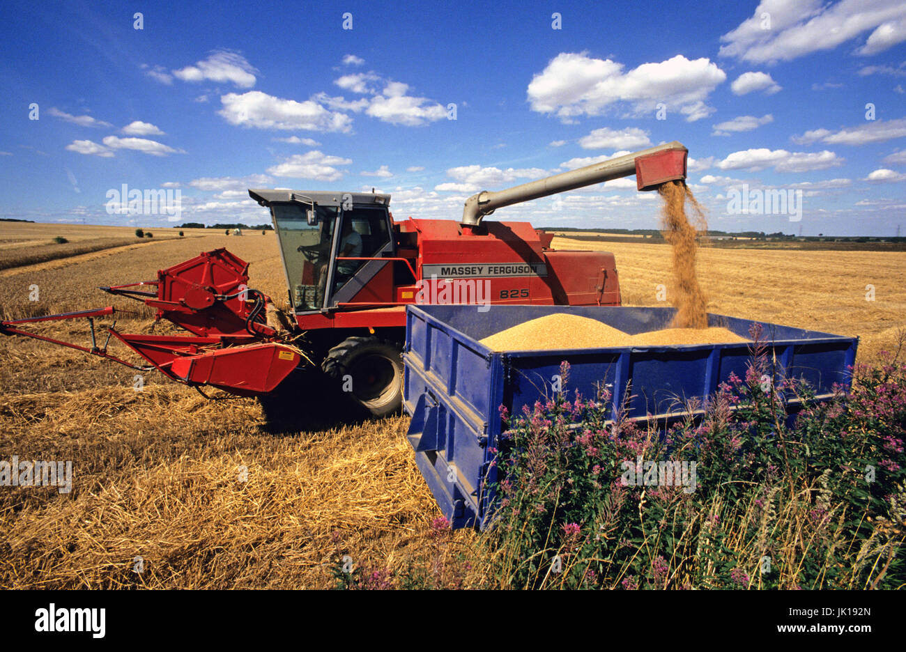 Combine harvester at work uk hi-res stock photography and images - Alamy