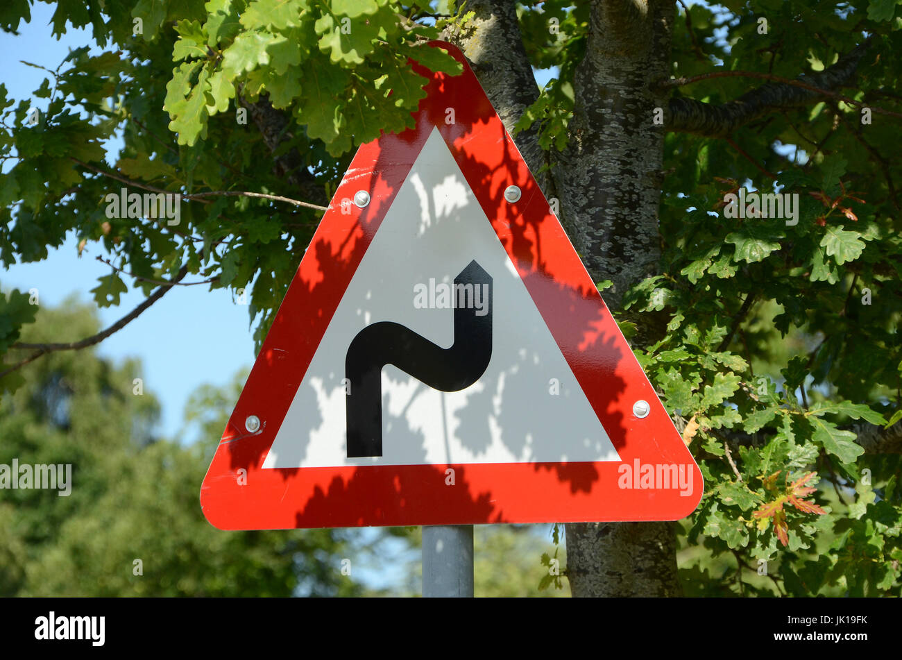 Curved Road ahead sign, partly hidden under a tree Stock Photo - Alamy