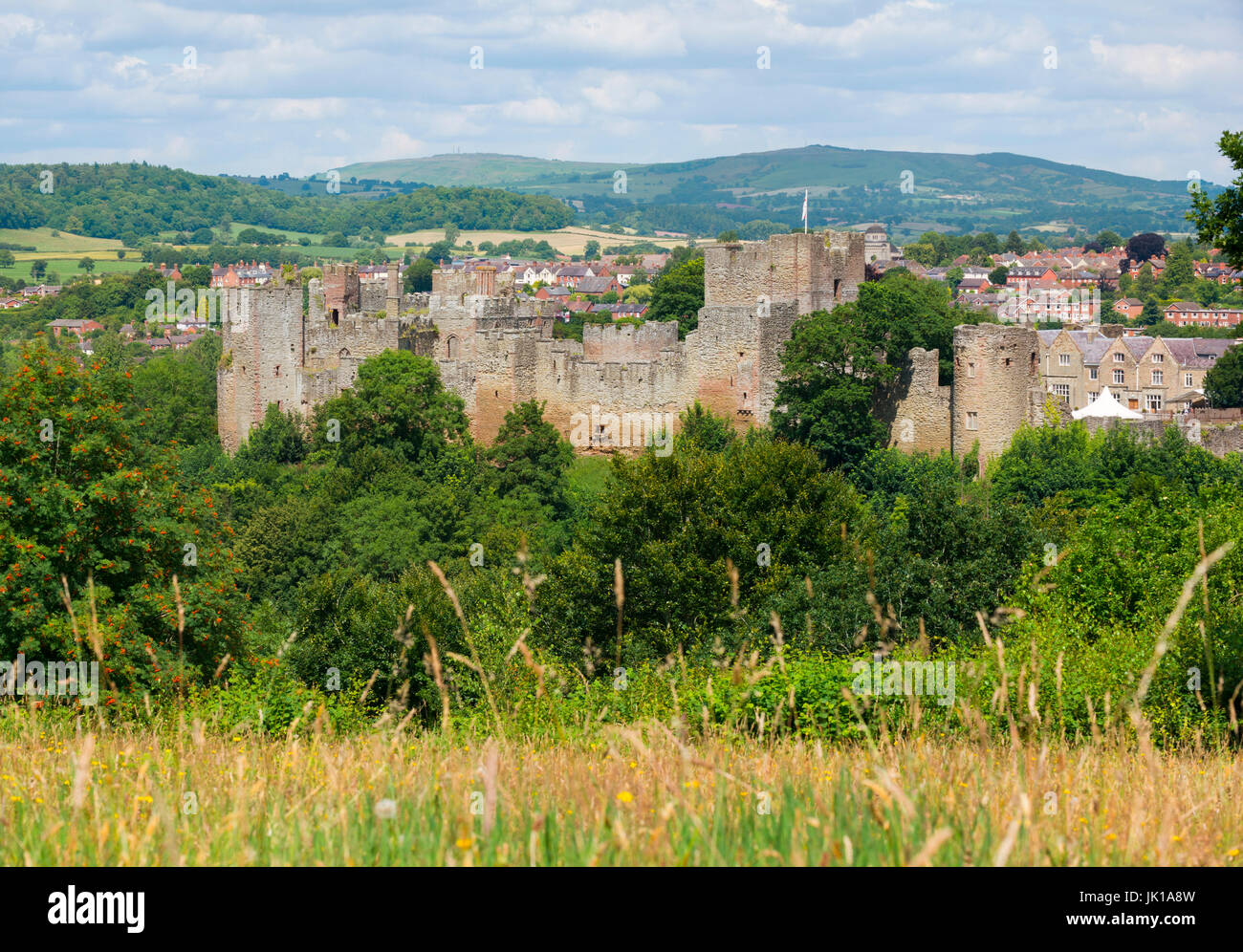 Ludlow Castle seen from Whitcliffe Common, Shropshire Stock Photo - Alamy