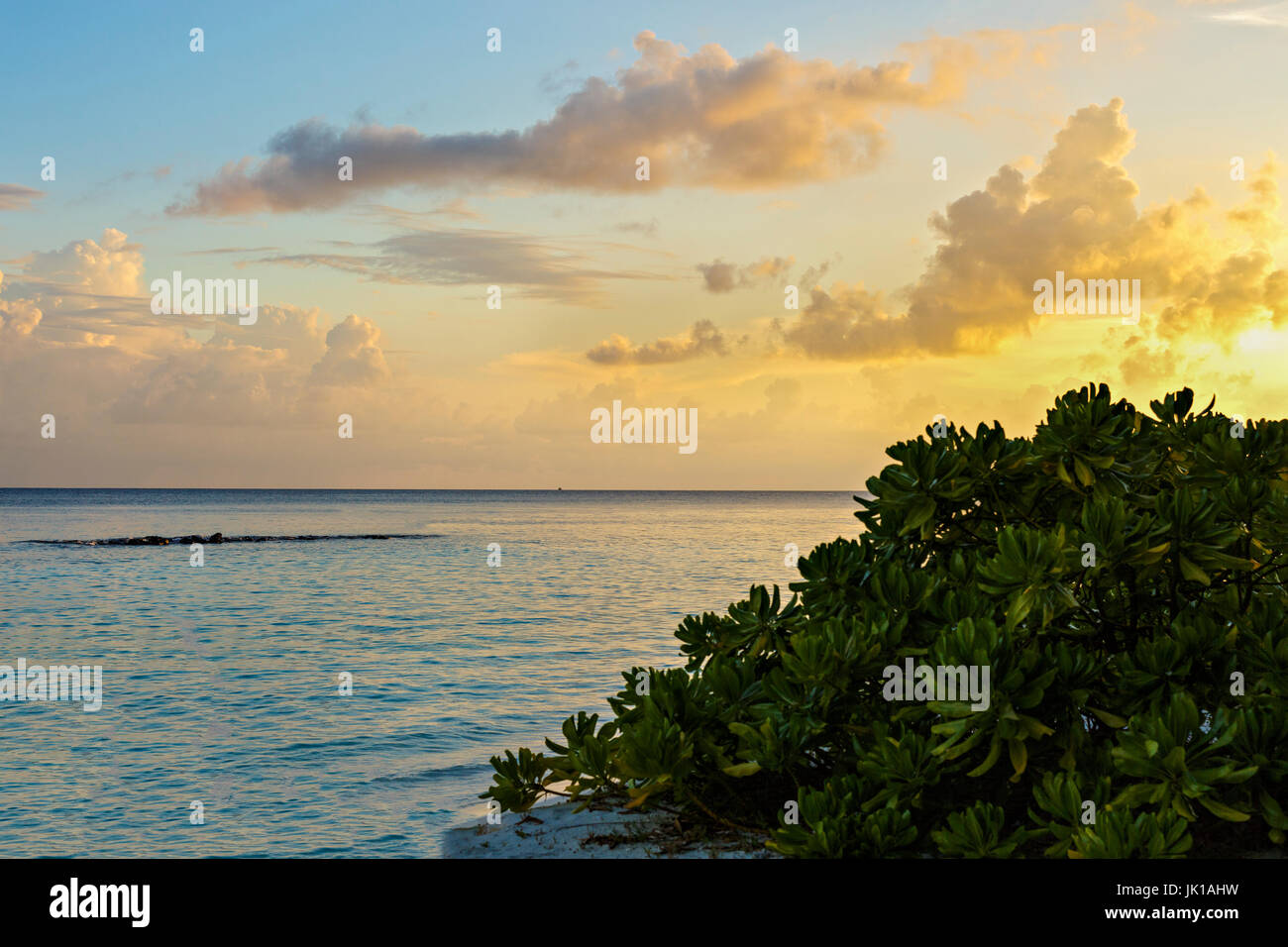 Beautiful tropical sunset on the beach Stock Photo - Alamy