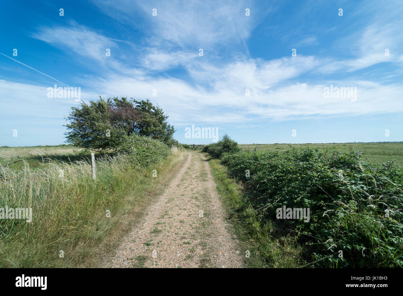 narrow gravel lane in the countryside with hedgerows. Footpath, cycle ...