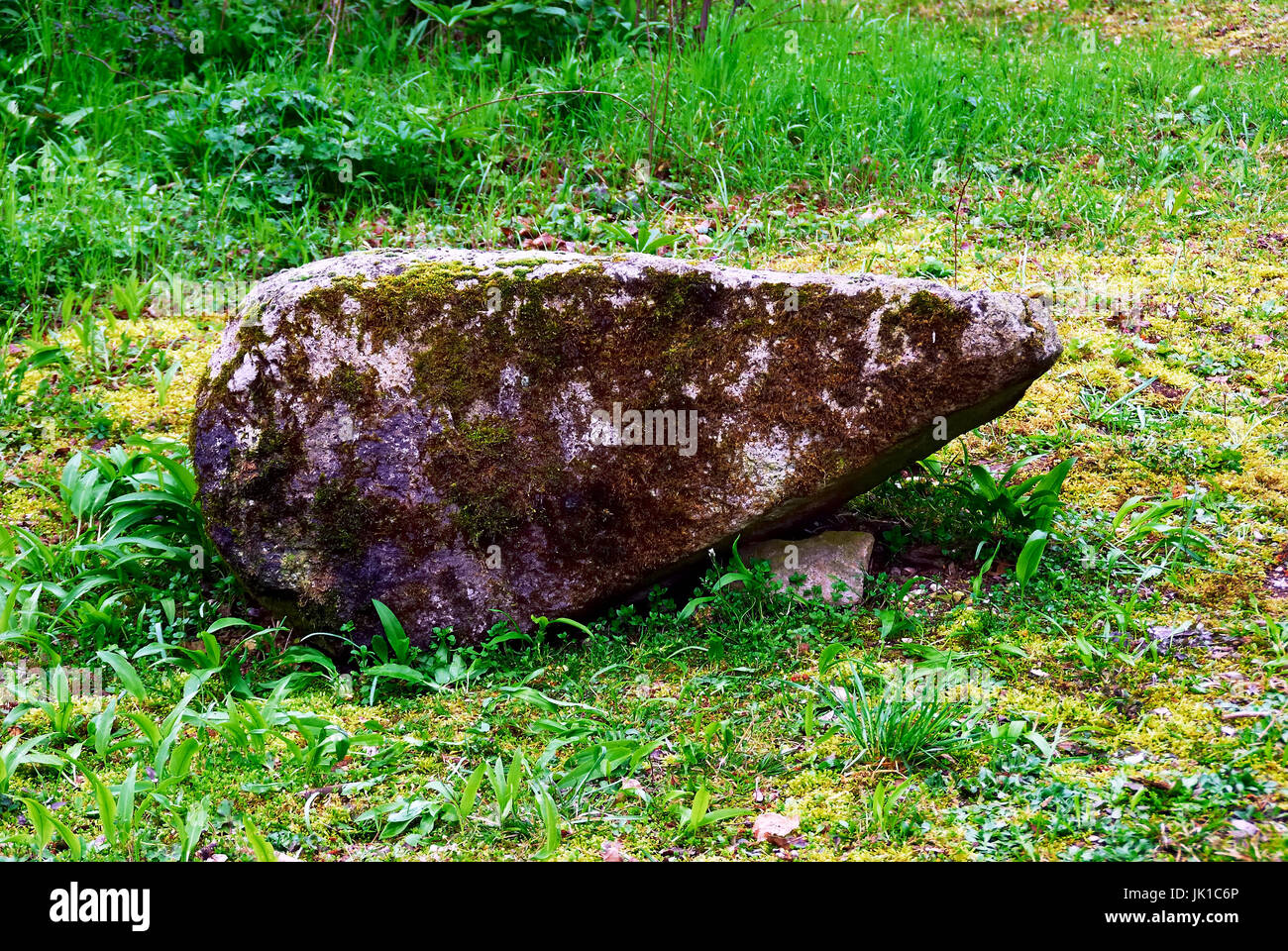 Regional Park of Colli Euganei, Veneto, Italy. Big stone covered with ...