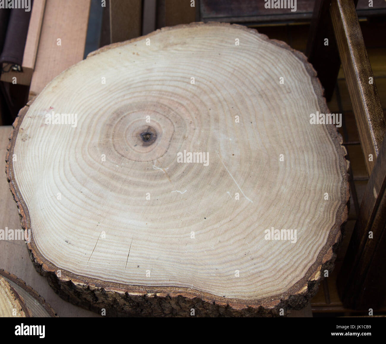 small piece of cut wood logs used for wood texture background Stock ...