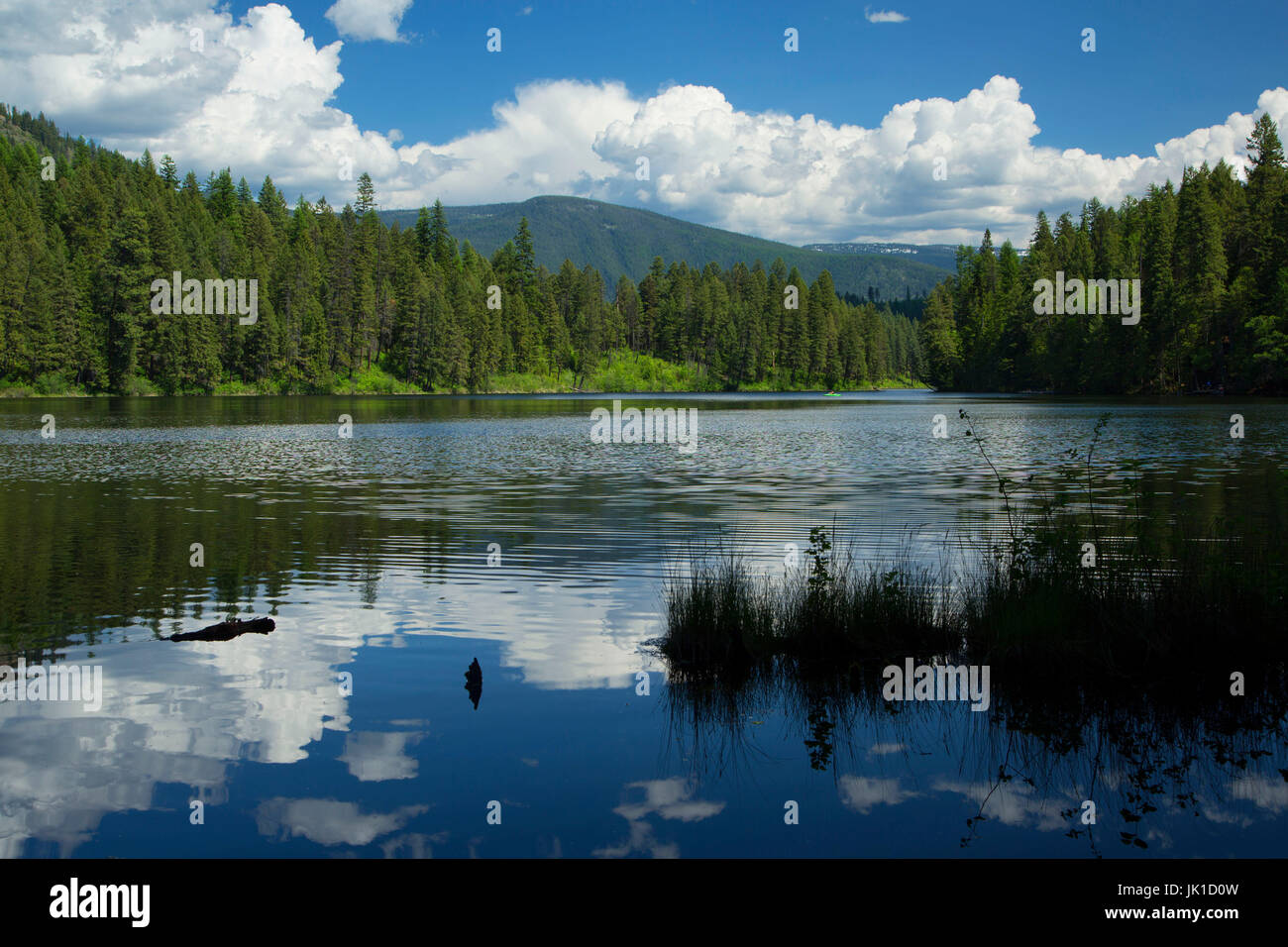 Robinson Lake, Kaniksu National Forest, Idaho Stock Photo - Alamy