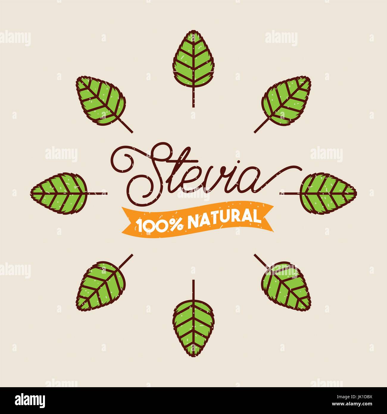 plant stevia natural sweetener Stock Vector Image & Art - Alamy