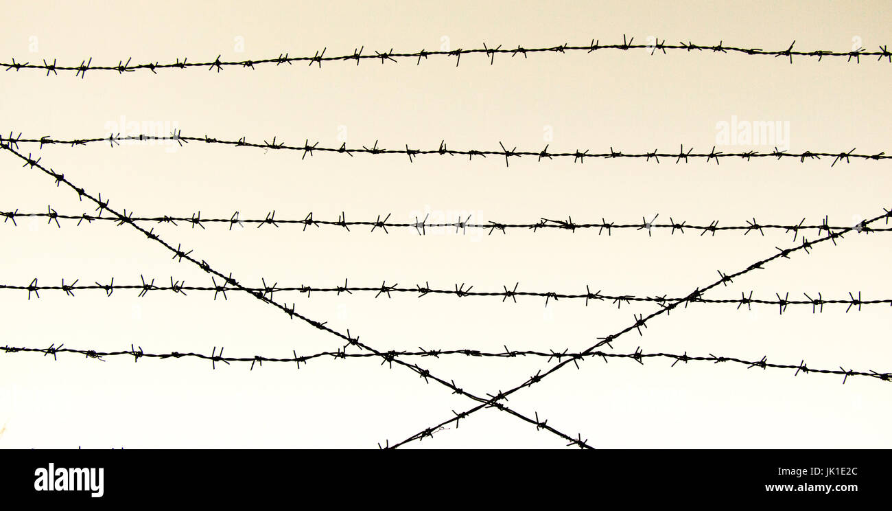 barbed wire fence used for protection purposes Stock Photo - Alamy