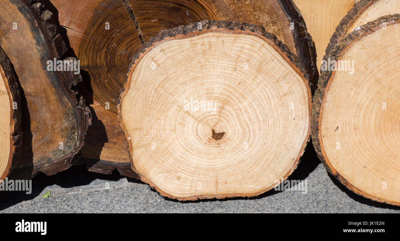 small piece of cut wood logs used for wood texture background Stock ...