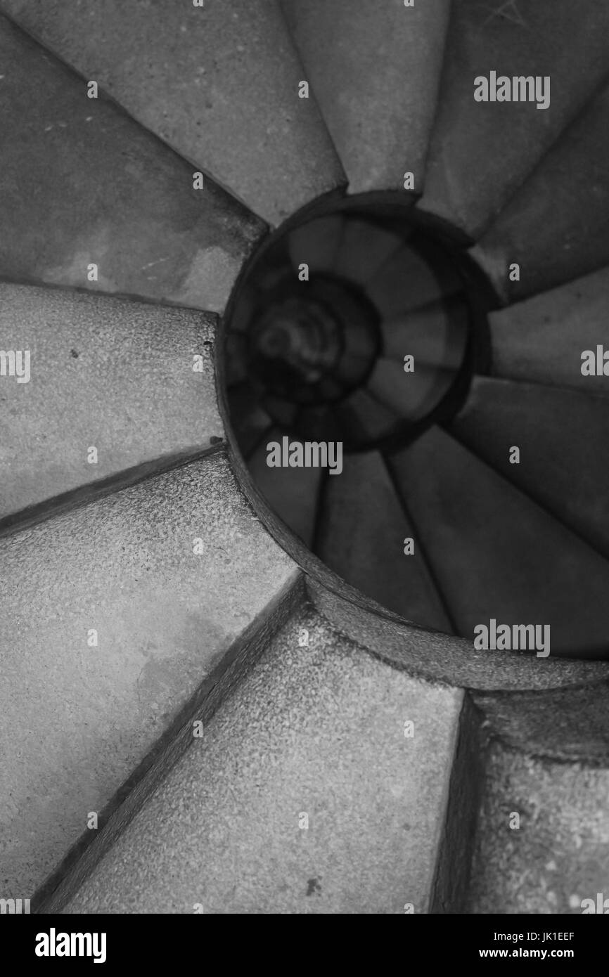 Snail up hi-res stock photography and images - Alamy