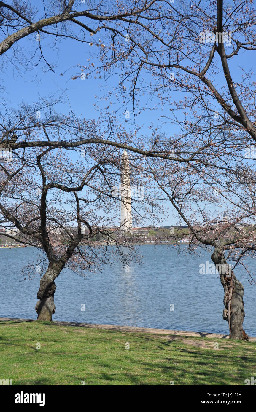 Washington dc nature hi-res stock photography and images - Alamy