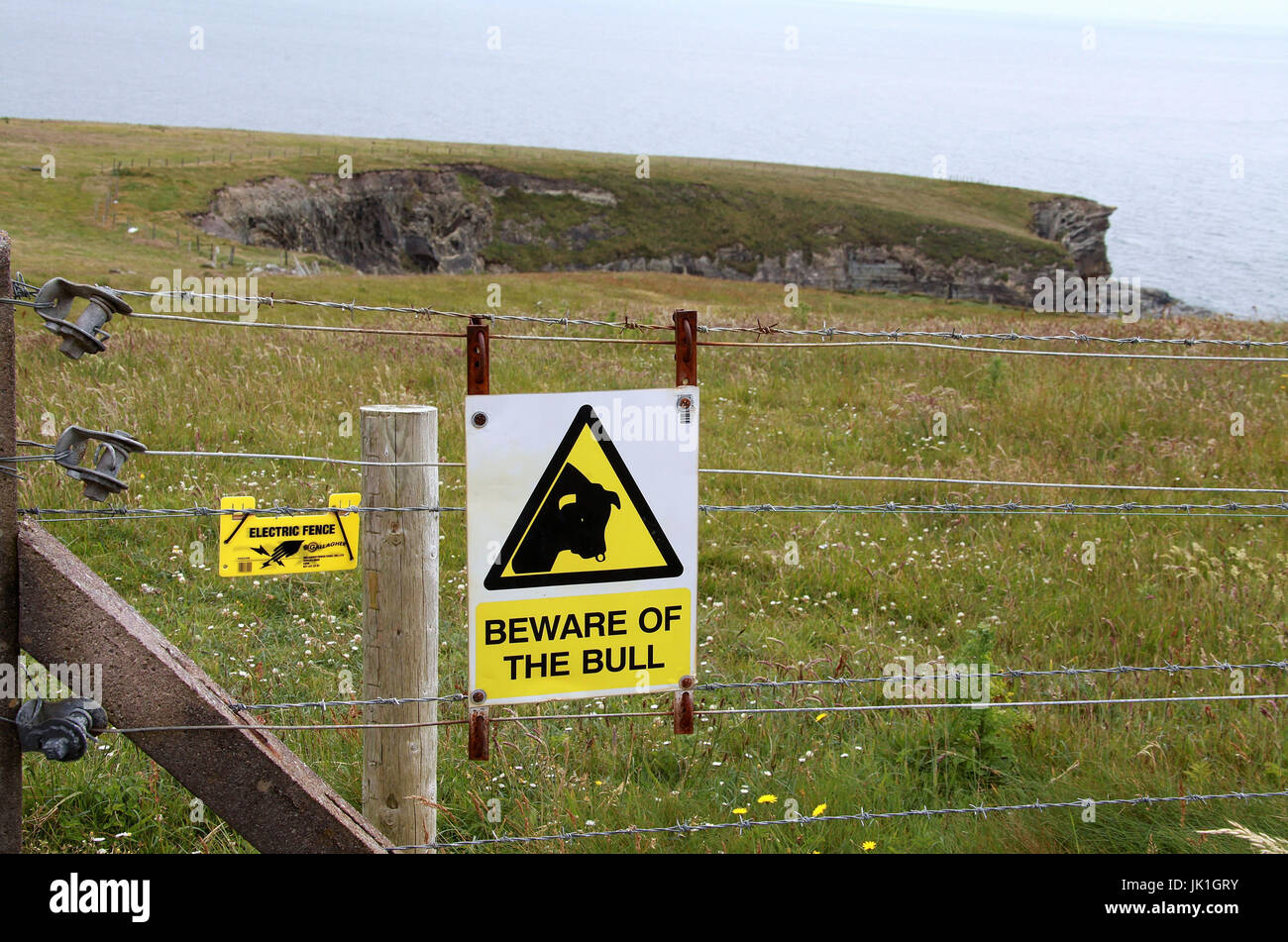 Beware of the Bull sign and electric fencing in Ireland Stock Photo - Alamy