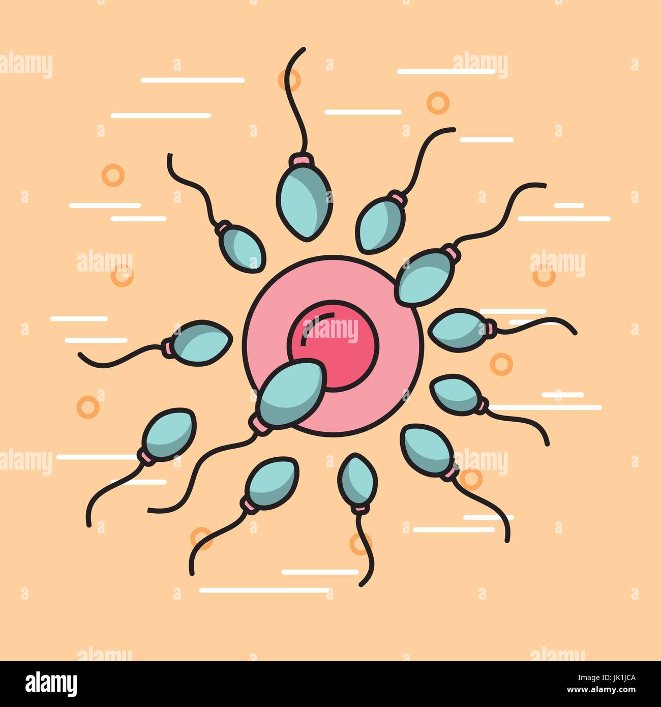 Fertilization process hi-res stock photography and images - Alamy