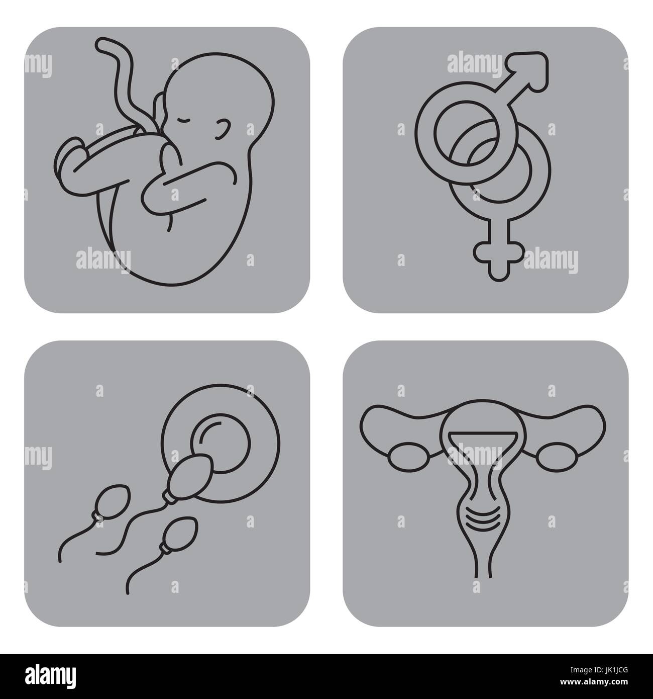 icons set baby progress Stock Vector Image & Art - Alamy