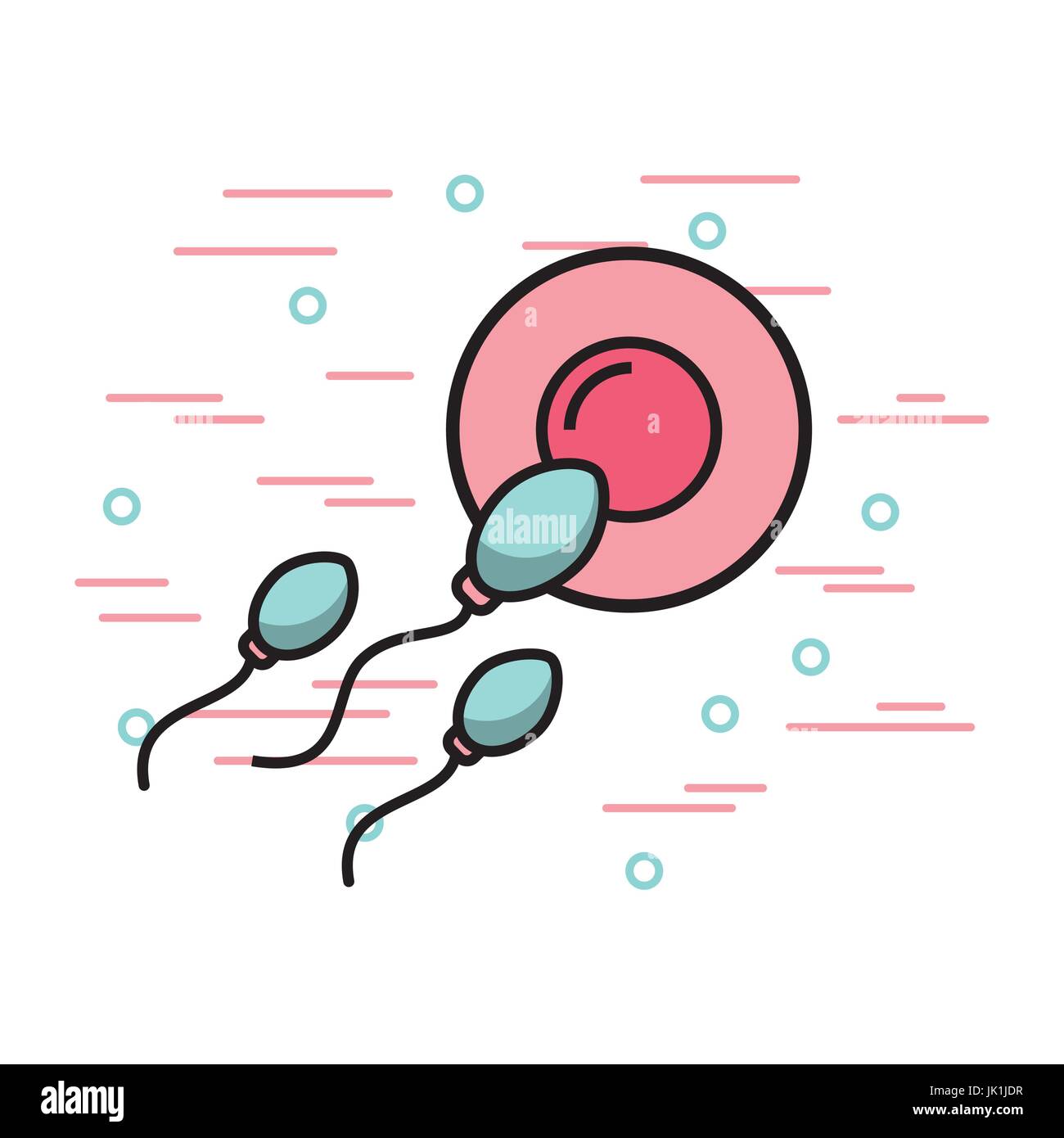 Female fertilization process Stock Vector Image & Art - Alamy