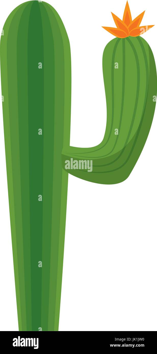 cactus icon over white background vector illustration Stock Vector ...