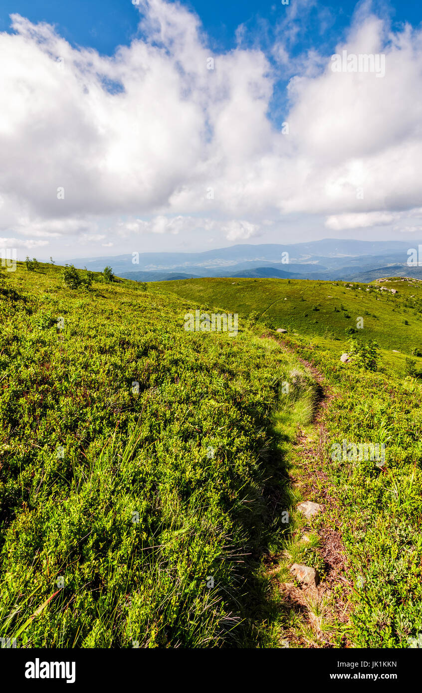 summer mountain landscape. footpath down the hill through mountain ...