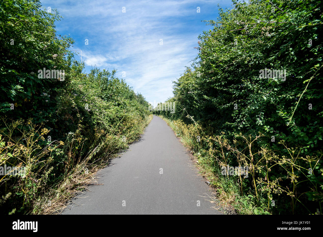 narrow tarmac lane with hedgerows either side. Footpath, cycle path ...