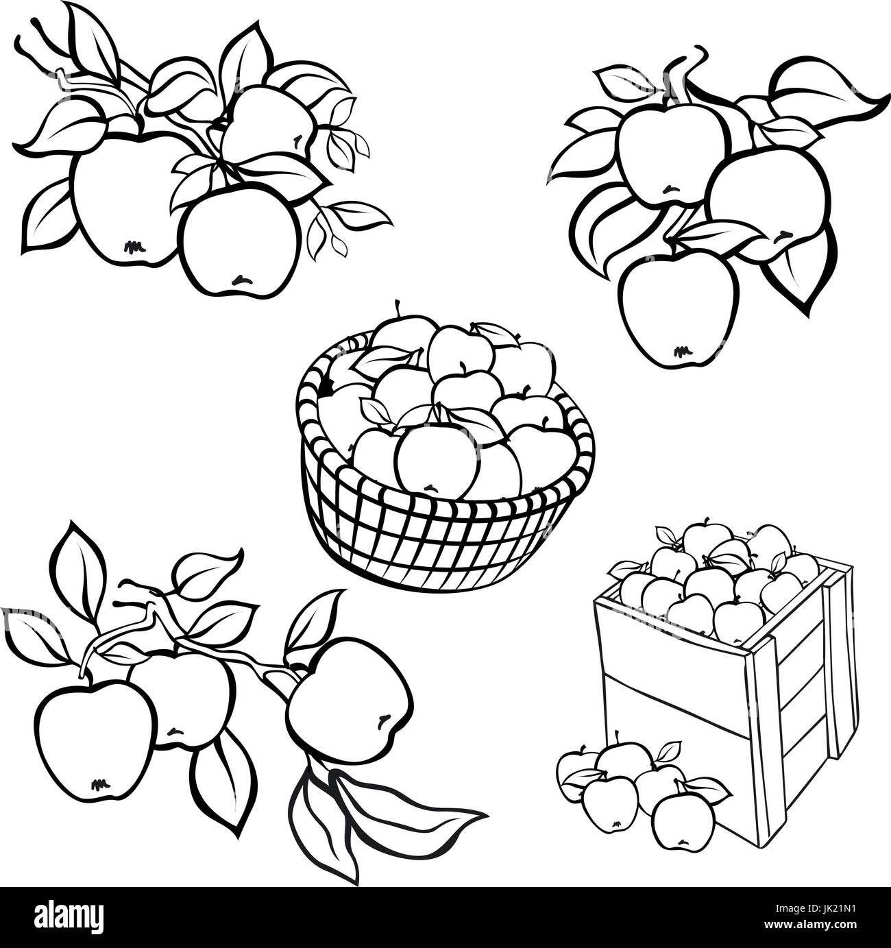 Vintage black apple harvest set. Fully editable EPS10 vector. art Stock ...