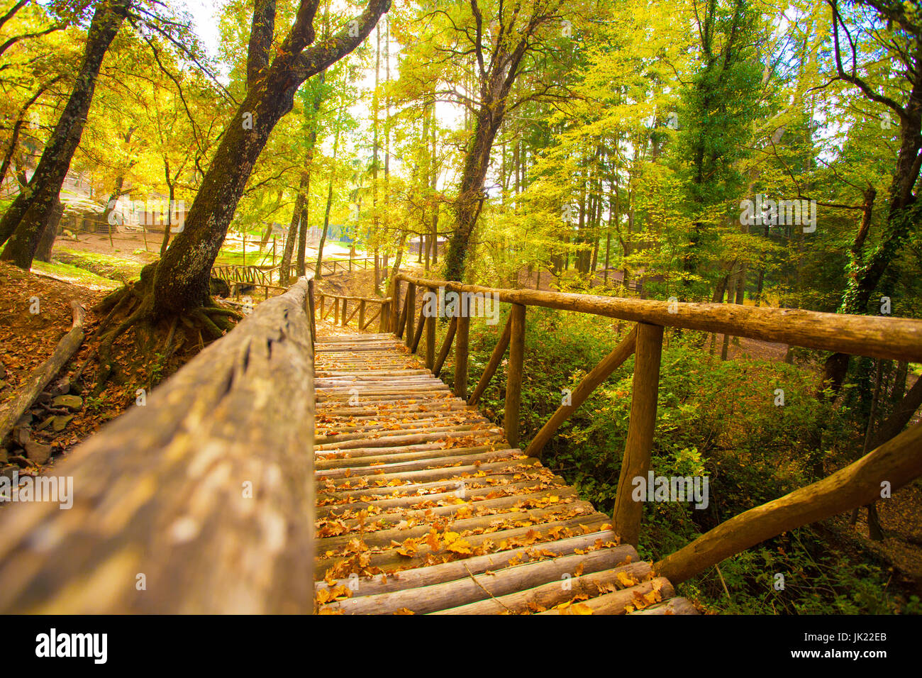 Bridge in the woods hi-res stock photography and images - Alamy