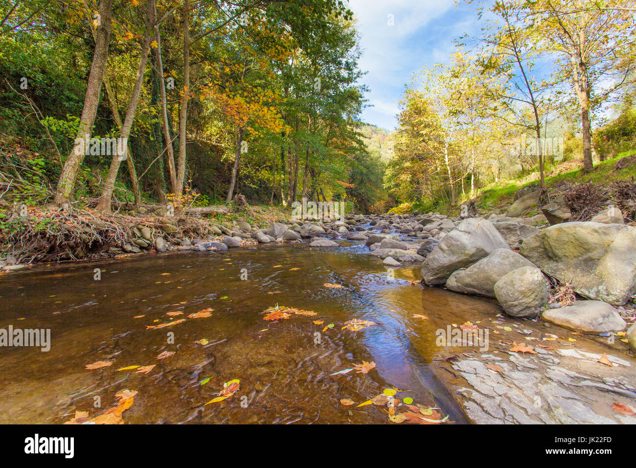 Leaves Floating On River High Resolution Stock Photography and Images ...