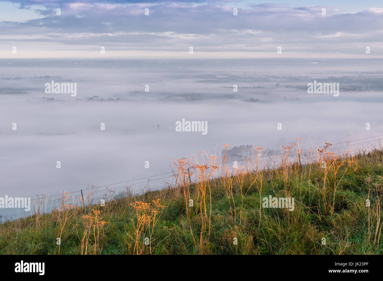 Spring countryside mist gate hi-res stock photography and images - Alamy