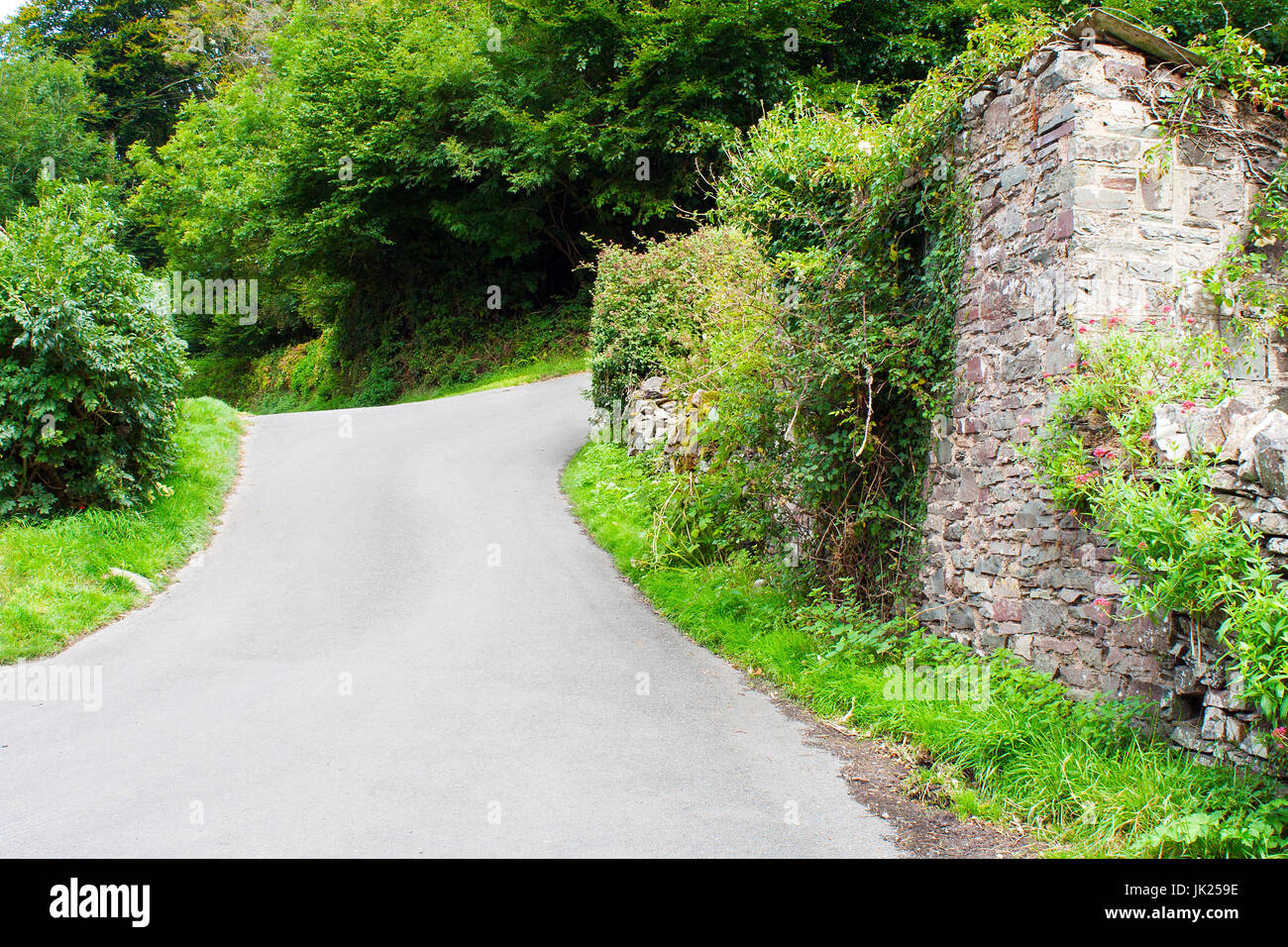 English countryside lane in North Devon Stock Photo - Alamy
