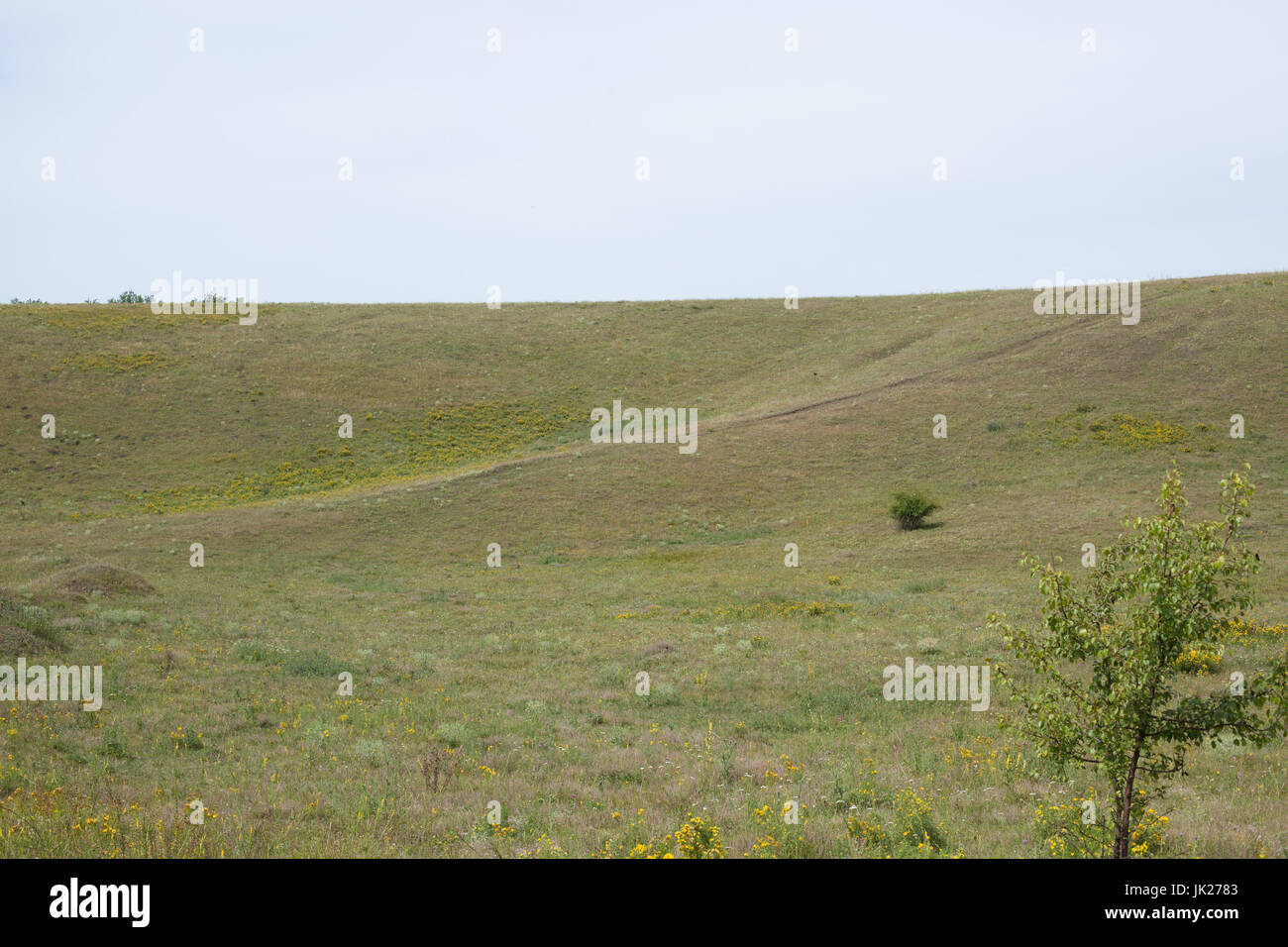 Pasture hill and footpath Stock Photo - Alamy