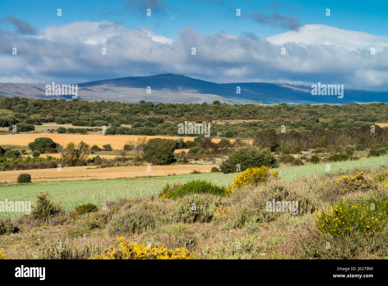 Landscape near of the Cruz de Ferro, Spain. Camino de Santiago Stock ...