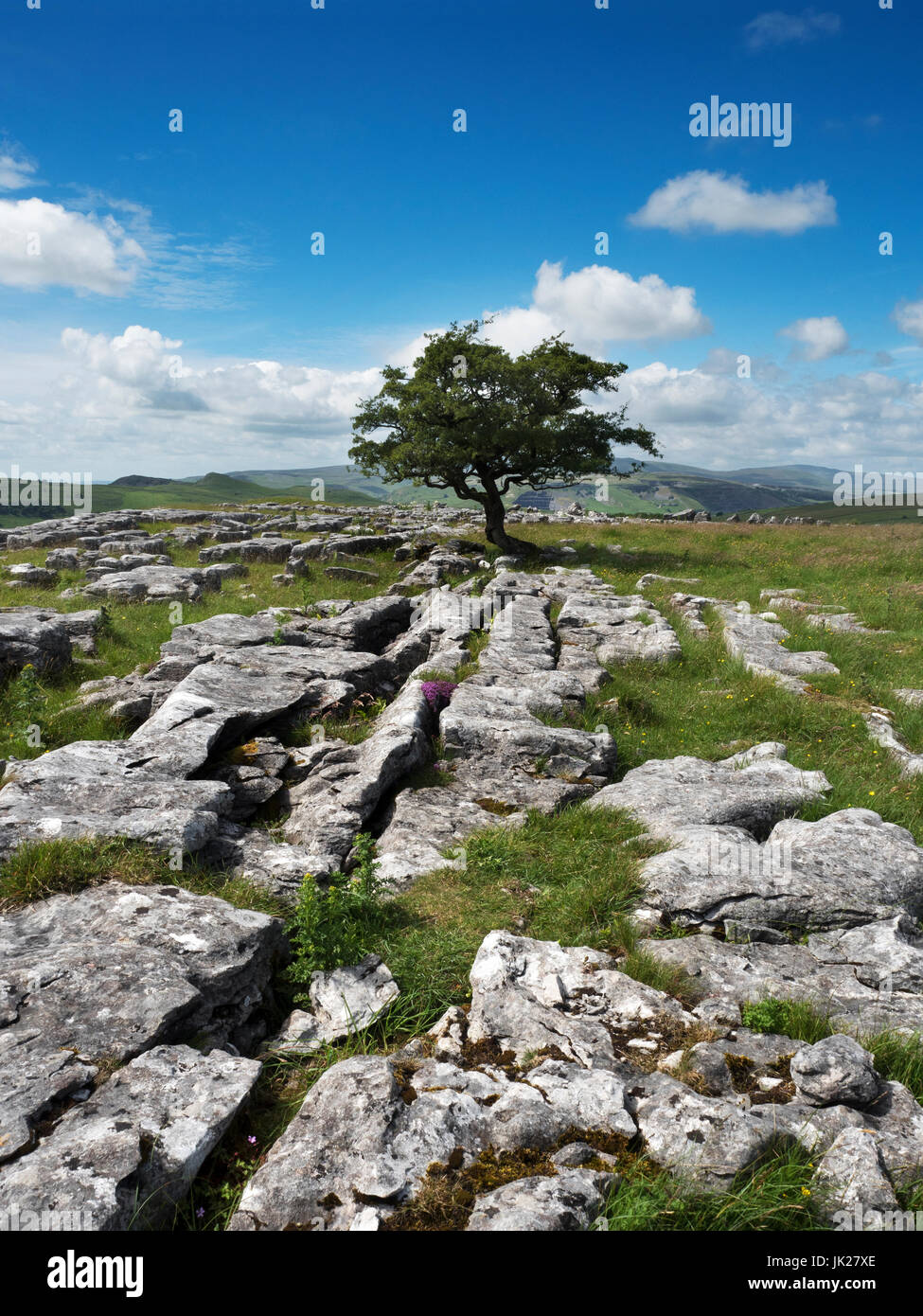 Pavement with blue stones hi-res stock photography and images - Alamy