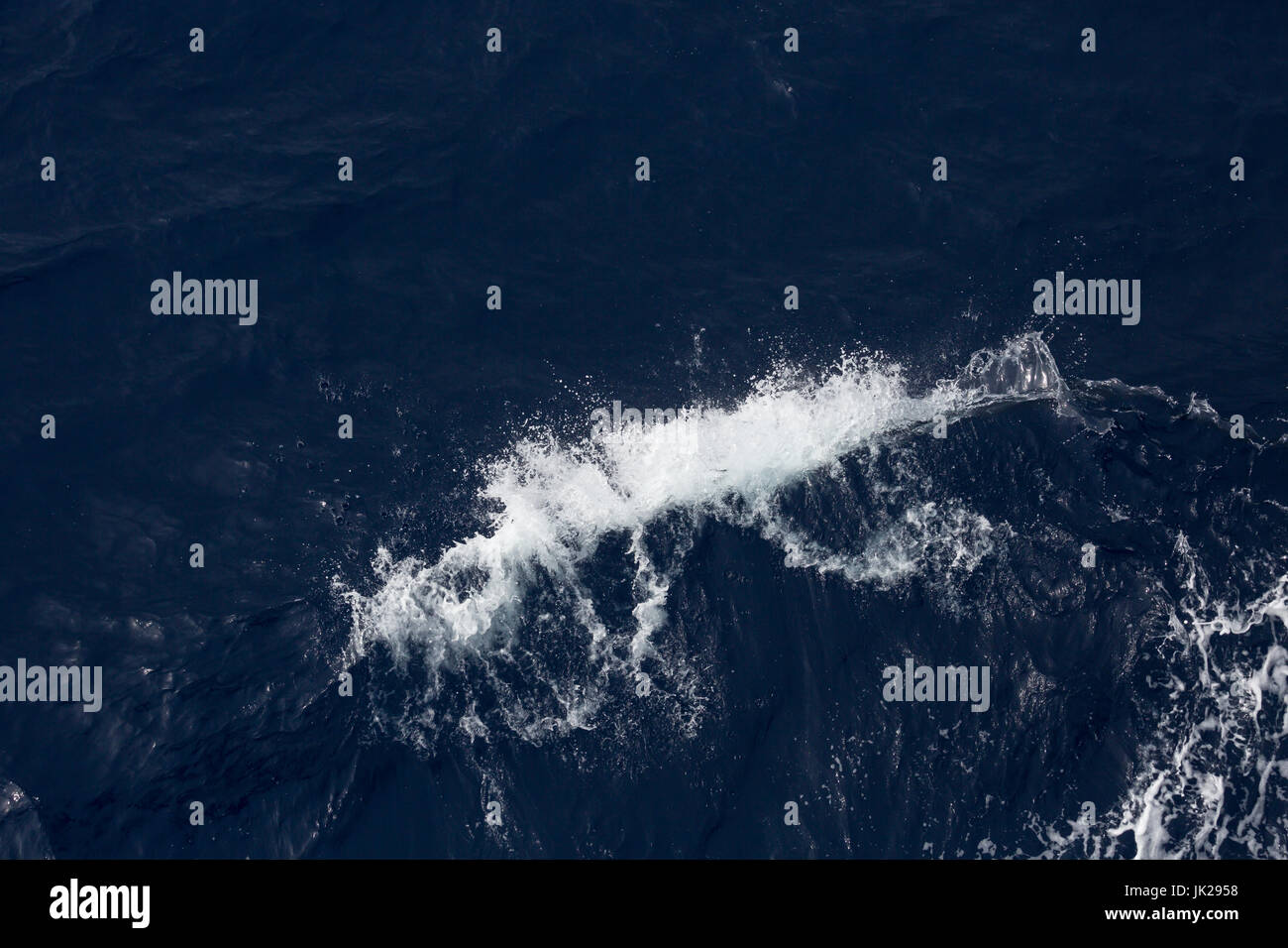 Blue ocean waves wake on cruise vacation Stock Photo - Alamy